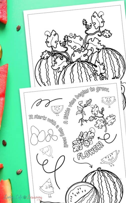 Watermelon Coloring Pages for Summer Fun