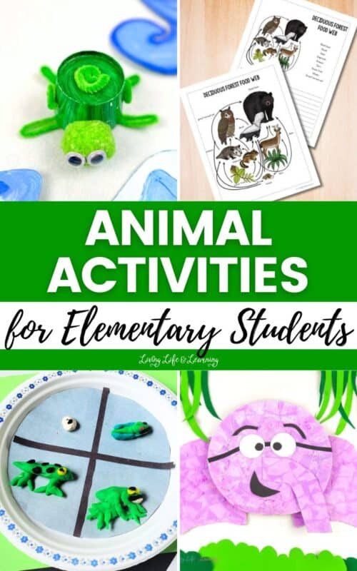 Animal Activities for Elementary Students: Fun Life Science Ideas