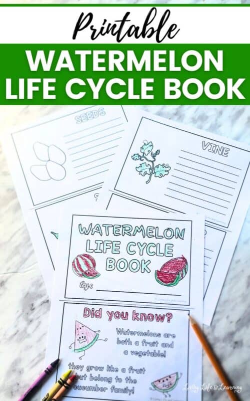 Printable Watermelon Life Cycle Book Activities for Summer