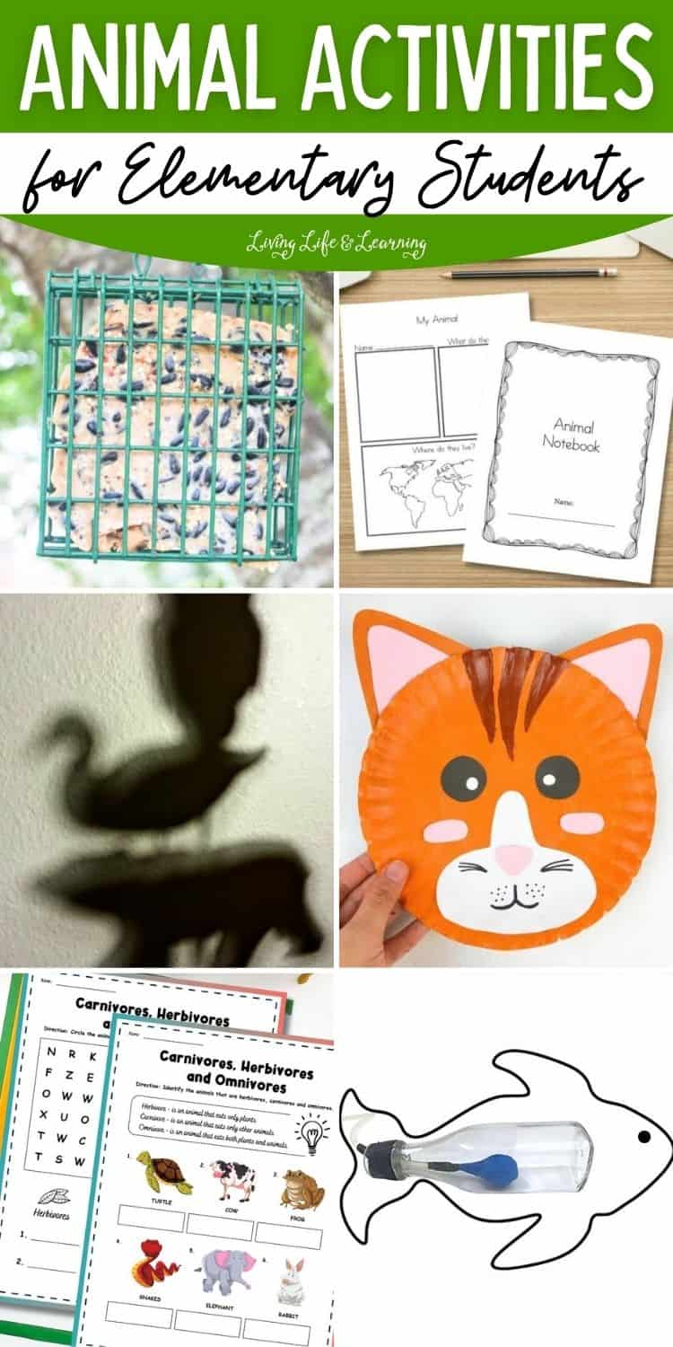 Animal Activities for Elementary Students: Fun Life Science Ideas
