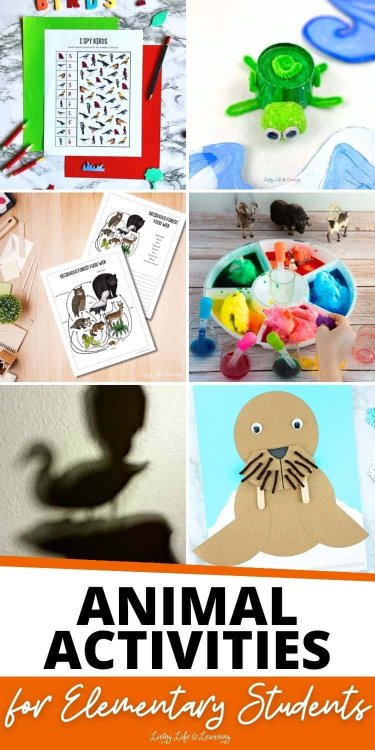 Animal Activities for Elementary Students: Fun Life Science Ideas