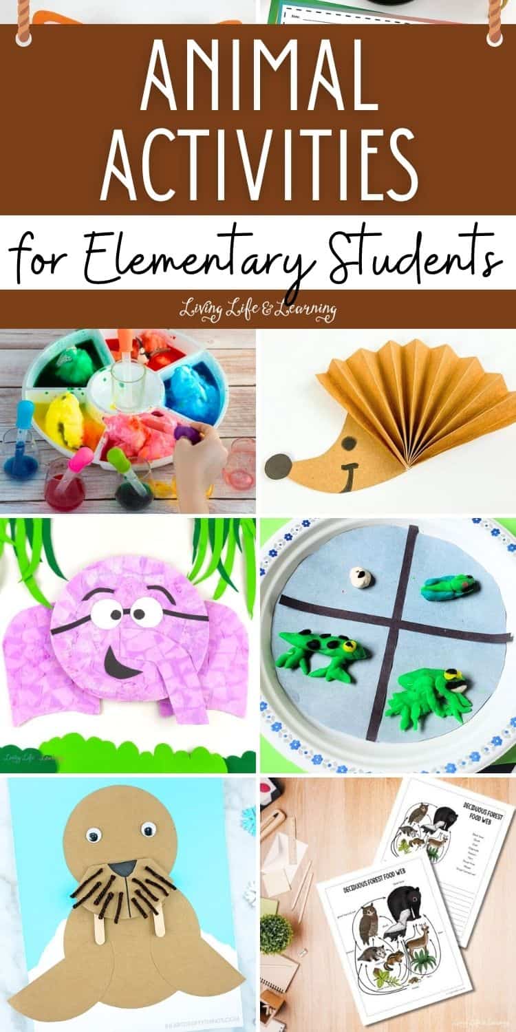 Animal Activities for Elementary Students: Fun Life Science Ideas