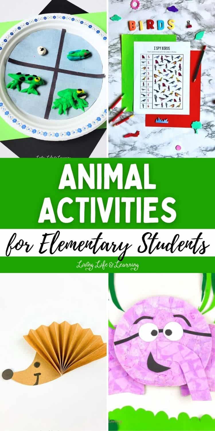 Animal Activities for Elementary Students: Fun Life Science Ideas