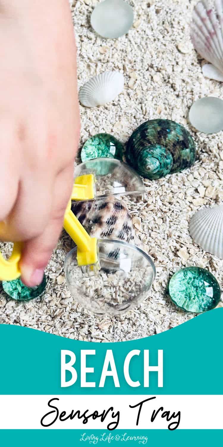 Beach Sensory Tray: A Hands-On Science Experience