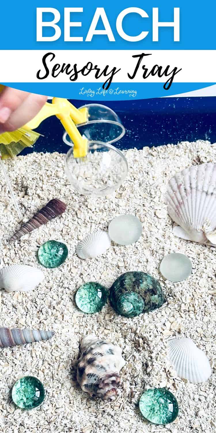 Beach Sensory Tray: A Hands-On Science Experience
