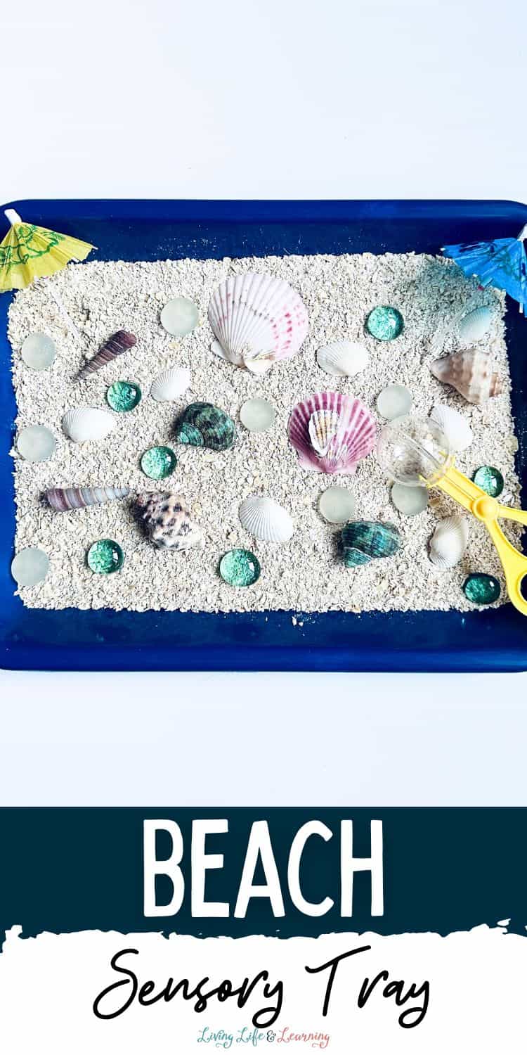 Beach Sensory Tray: A Hands-On Science Experience