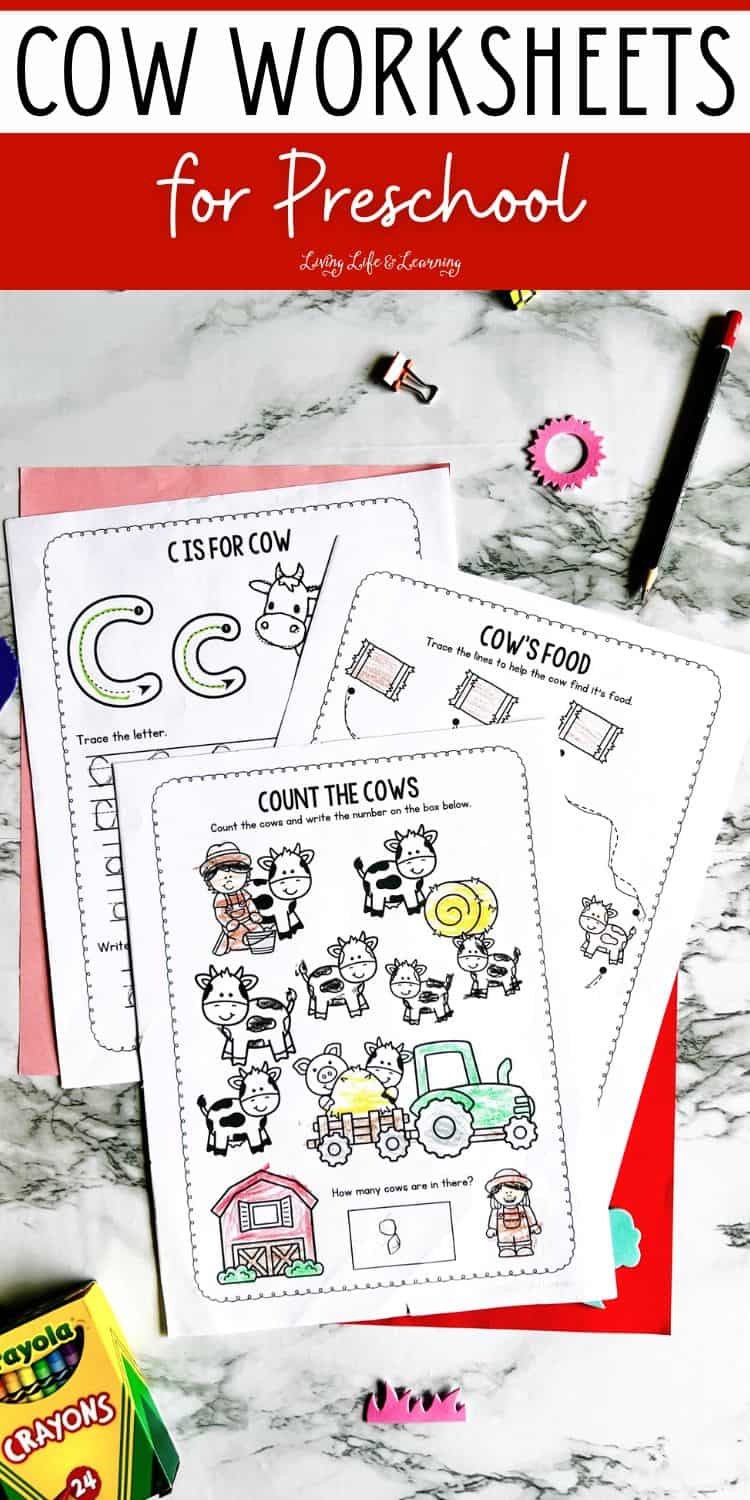 Cow Worksheets for Preschool: Fun and Learning