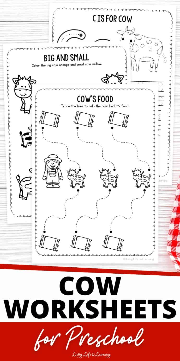 Cow Worksheets for Preschool: Fun and Learning
