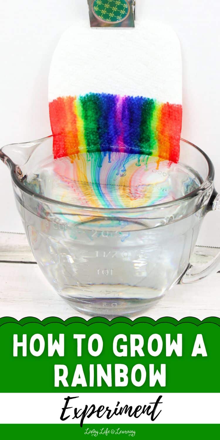 How to Grow a Rainbow Experiment With Everyday Items