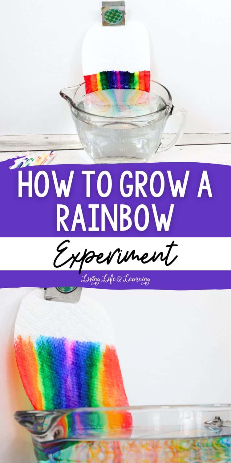 How to Grow a Rainbow Experiment With Everyday Items