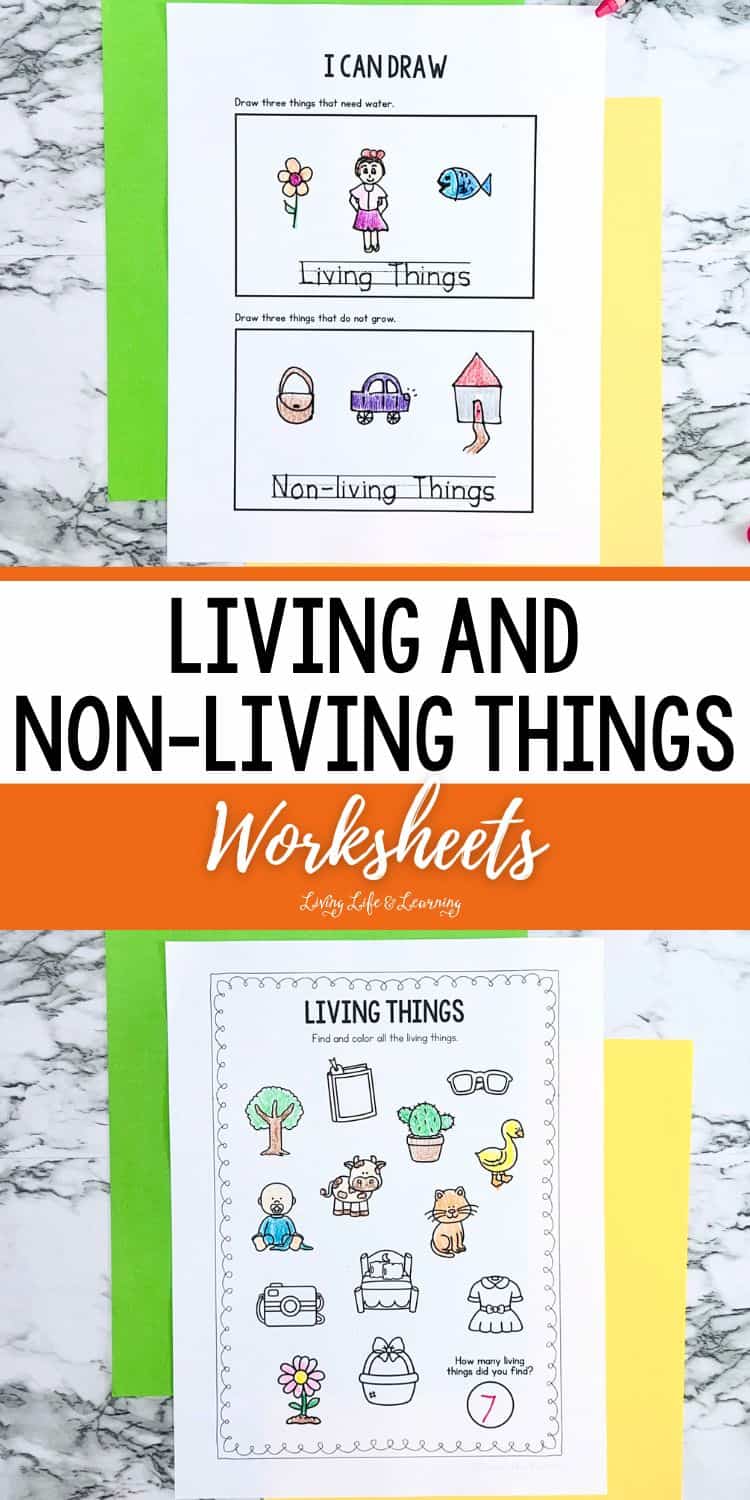 Living and Non-Living Things Worksheets for Learning