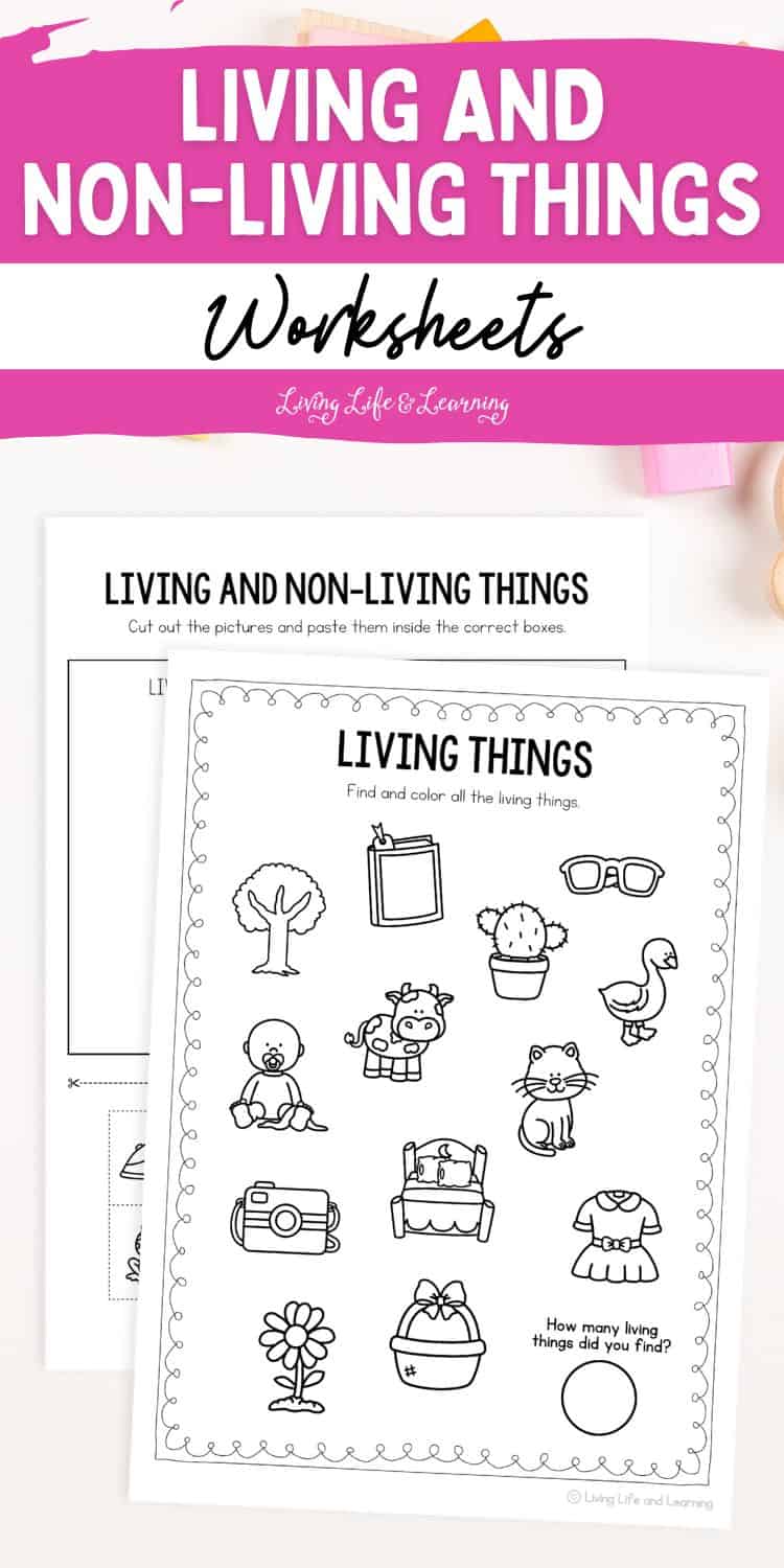 Living and Non-Living Things Worksheets for Learning