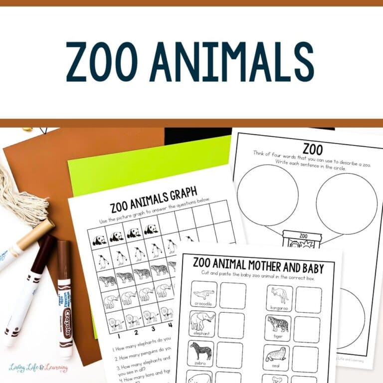 Animal Activities for Elementary Students: Fun Life Science Ideas