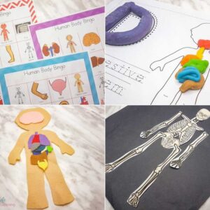 Health STEM Activities that Promote Hygiene Learning