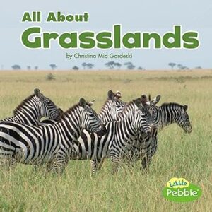 Books About Animal Habitats for Preschoolers: Fun Way to Learn