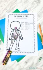 Printable Body Systems Coloring Pages for Learning Fun