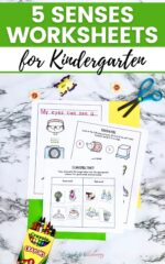 5 Senses Worksheet for Kindergarten: Fun Human Body Lesson