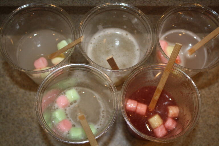 Camping Science Activities for Preschoolers: Explore Nature