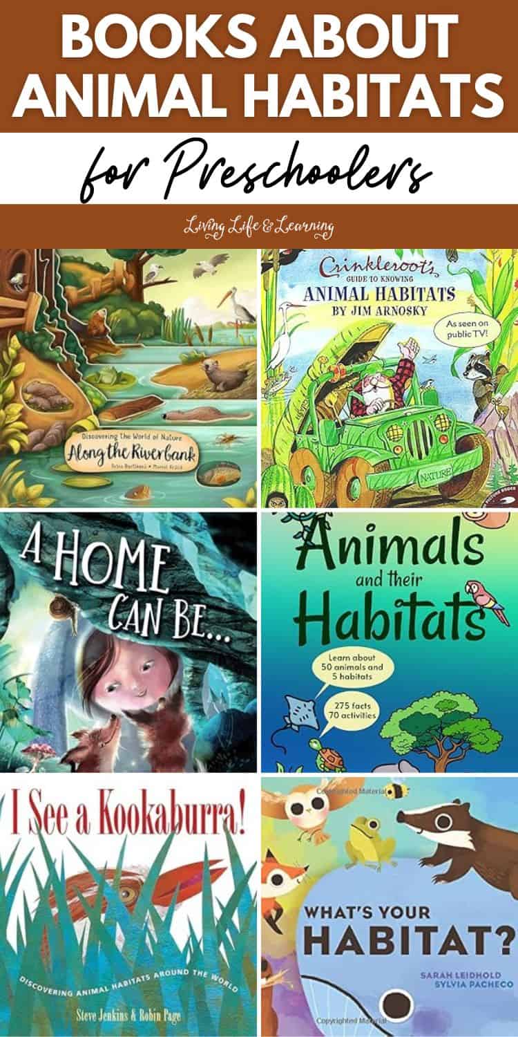 Books About Animal Habitats for Preschoolers: Fun Way to Learn