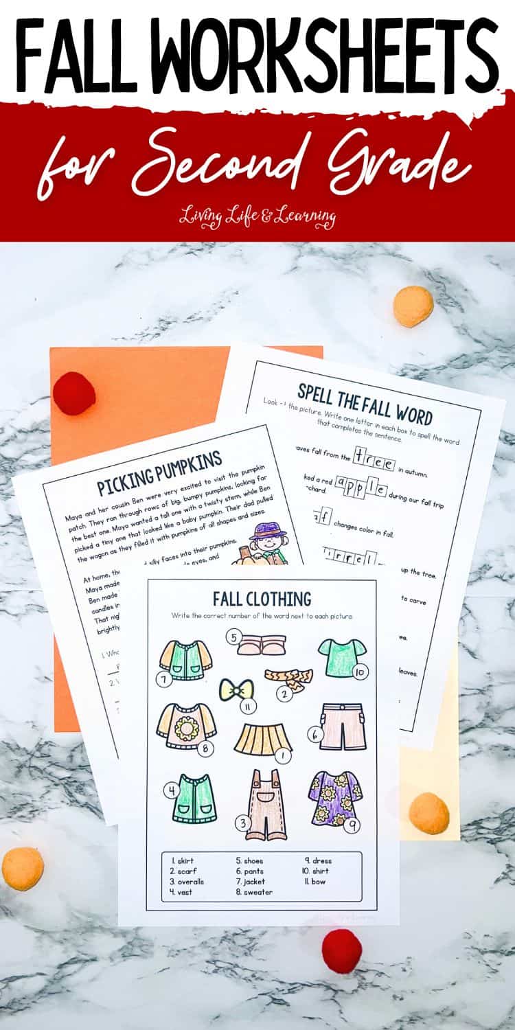 Fall Worksheets for Second Grade: Fun Activities for Fall
