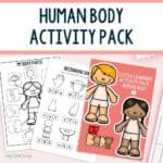 5 Senses Worksheet for Kindergarten: Fun Human Body Lesson