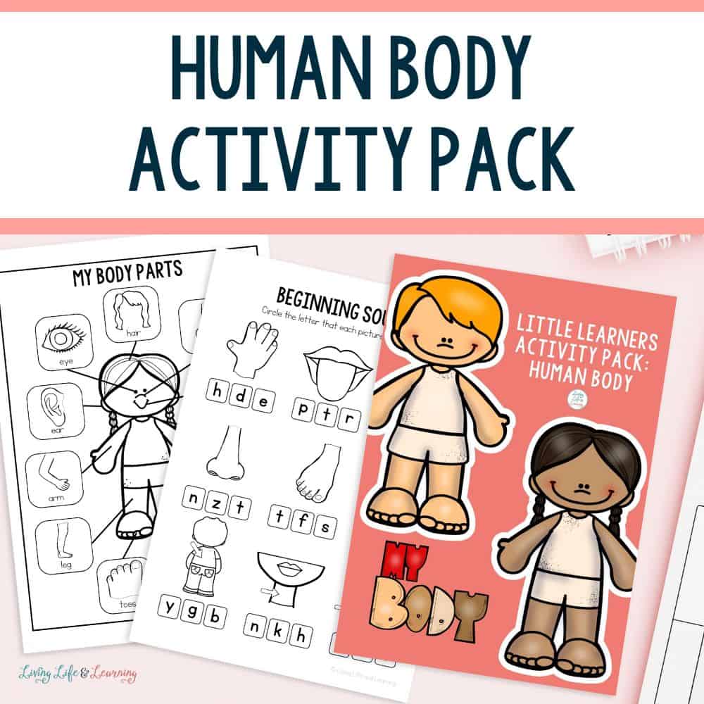 Preschool Five Senses Worksheets to Enhance Learning