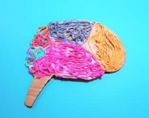 Brain Kindergarten Activities: Human Body Hands-On Learning