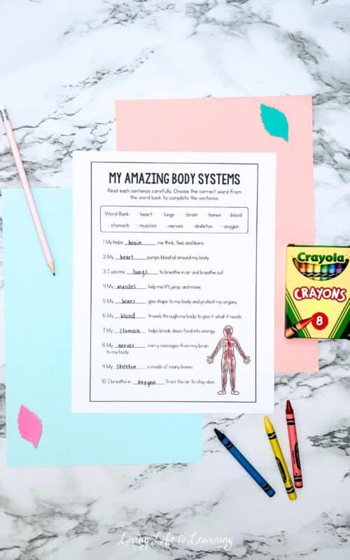Body Systems Worksheets for Early Elementary Students