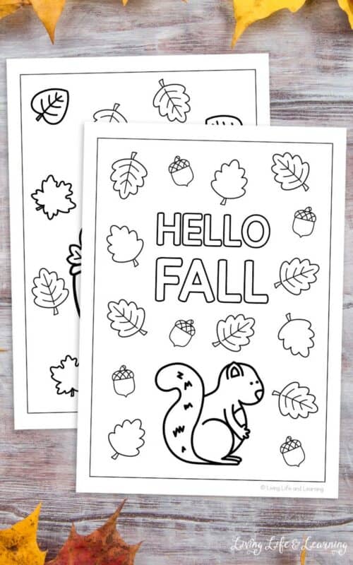 Fall Leaves Coloring Pages for Kindergarten Learning