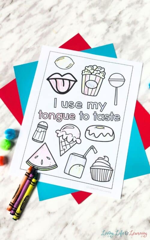 Five Senses Coloring Pages for Preschool: Creative Way To Learn