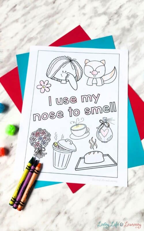 Five Senses Coloring Pages for Preschool: Creative Way To Learn