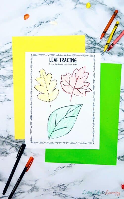 Leaf Worksheets for Kindergarten: Enhance Fall Learning