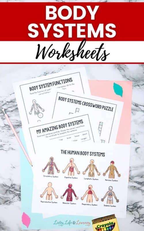 Body Systems Worksheets for Early Elementary Students