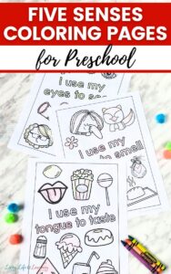 Five Senses Coloring Pages for Preschool: Creative Way To Learn