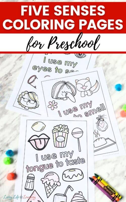 Five Senses Coloring Pages for Preschool: Creative Way To Learn