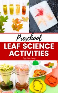 Preschool Leaf Science Activities to Inspire Learning