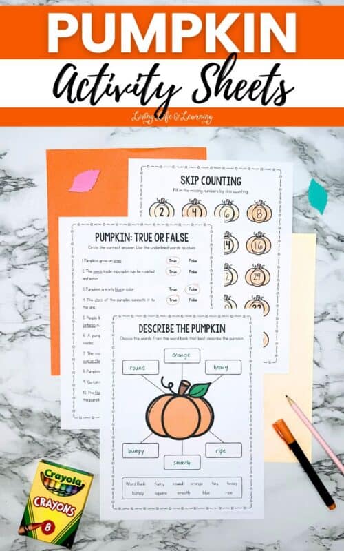 Pumpkin Activity Sheets: Fun Printables for Seasonal Learning