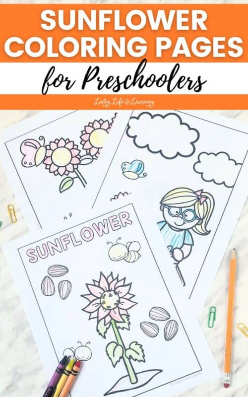Sunflower Coloring Pages for Preschoolers: Fun Nature Printable