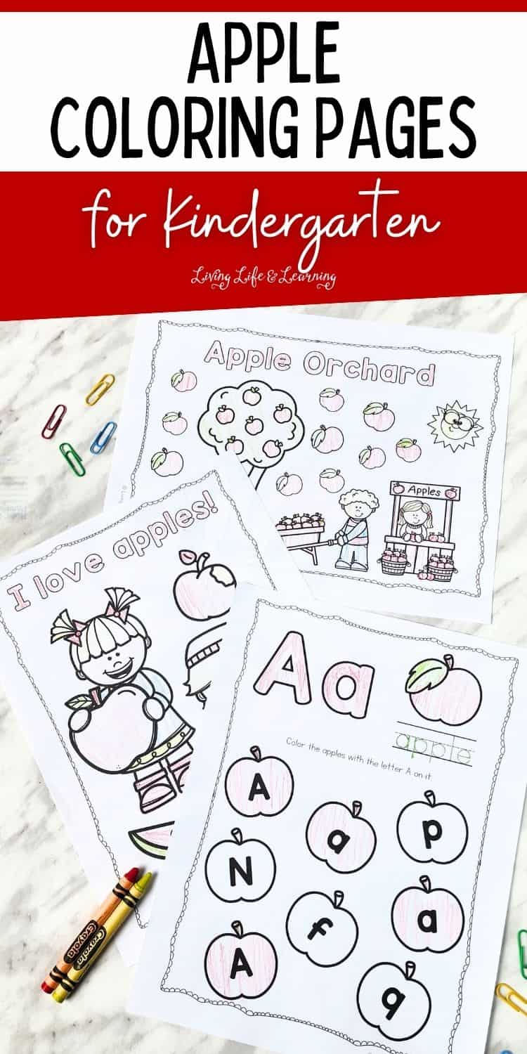 Apple Coloring Pages for Kindergarten Fun Learning