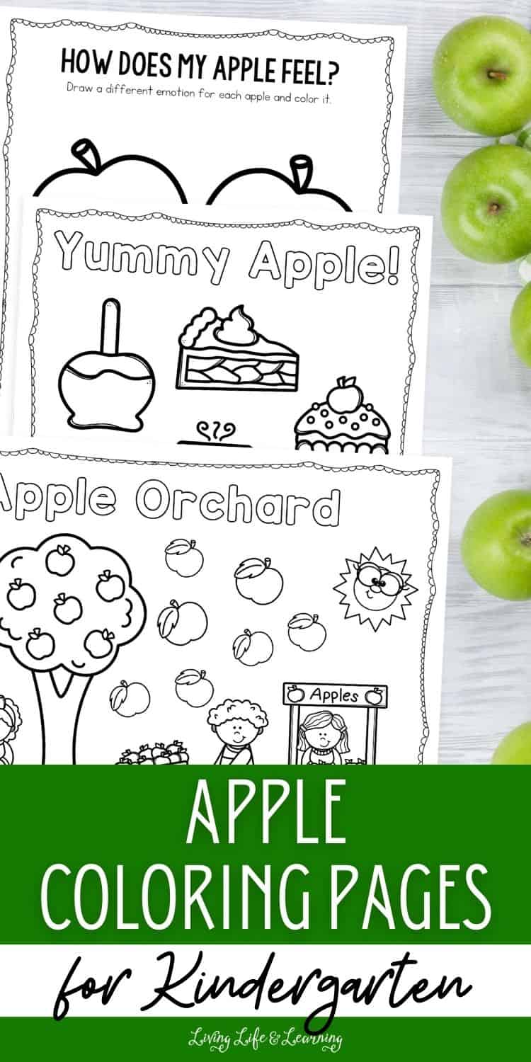 Apple Coloring Pages for Kindergarten Fun Learning