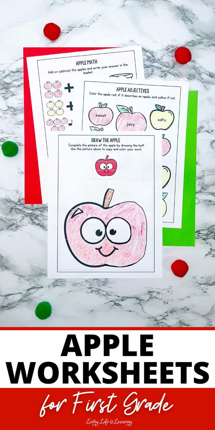 Apple Worksheets for First Grade: Teach with Fun Fall Activities