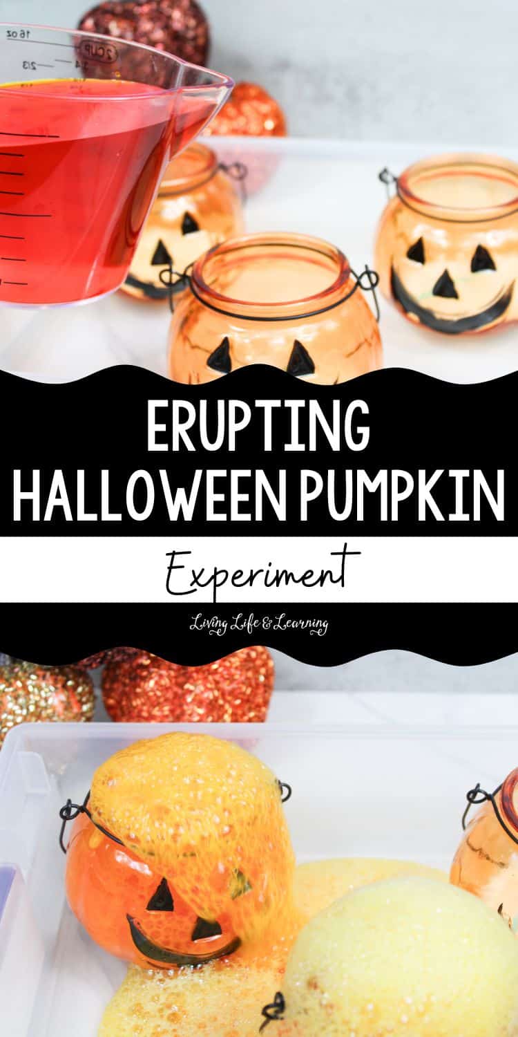 Erupting Halloween Pumpkin Experiment with Chemistry