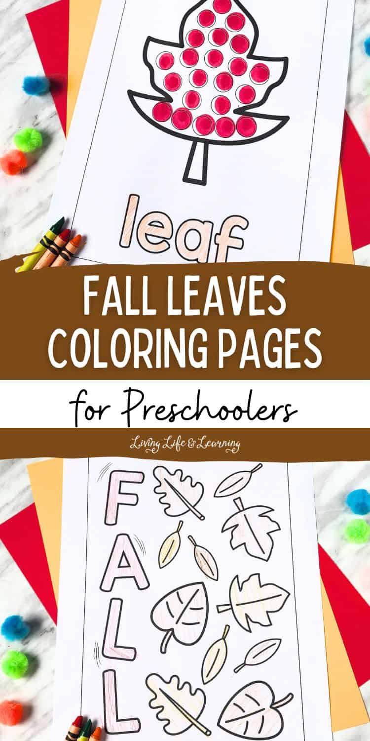 Fall Leaves Coloring Pages for Preschoolers to Enjoy