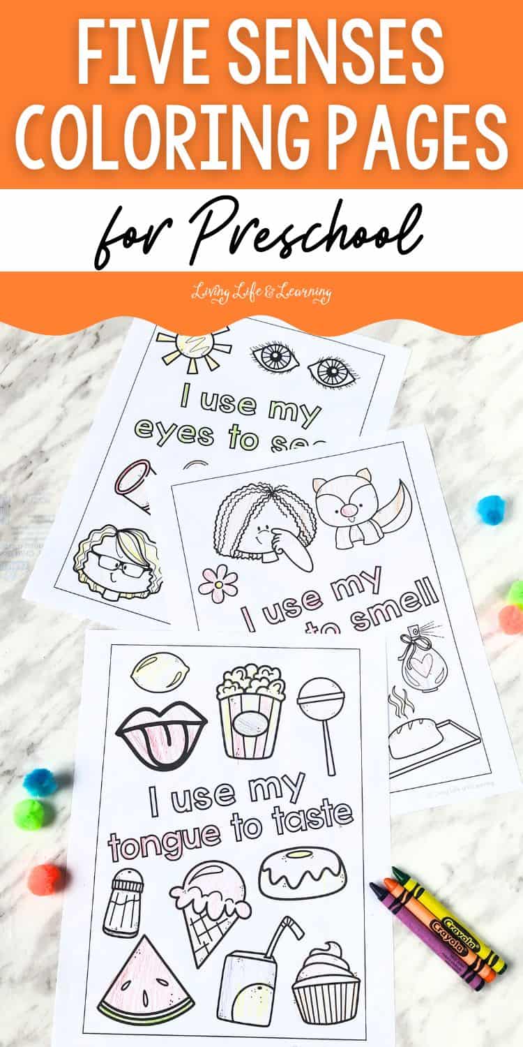 Five Senses Coloring Pages for Preschool: Creative Way To Learn