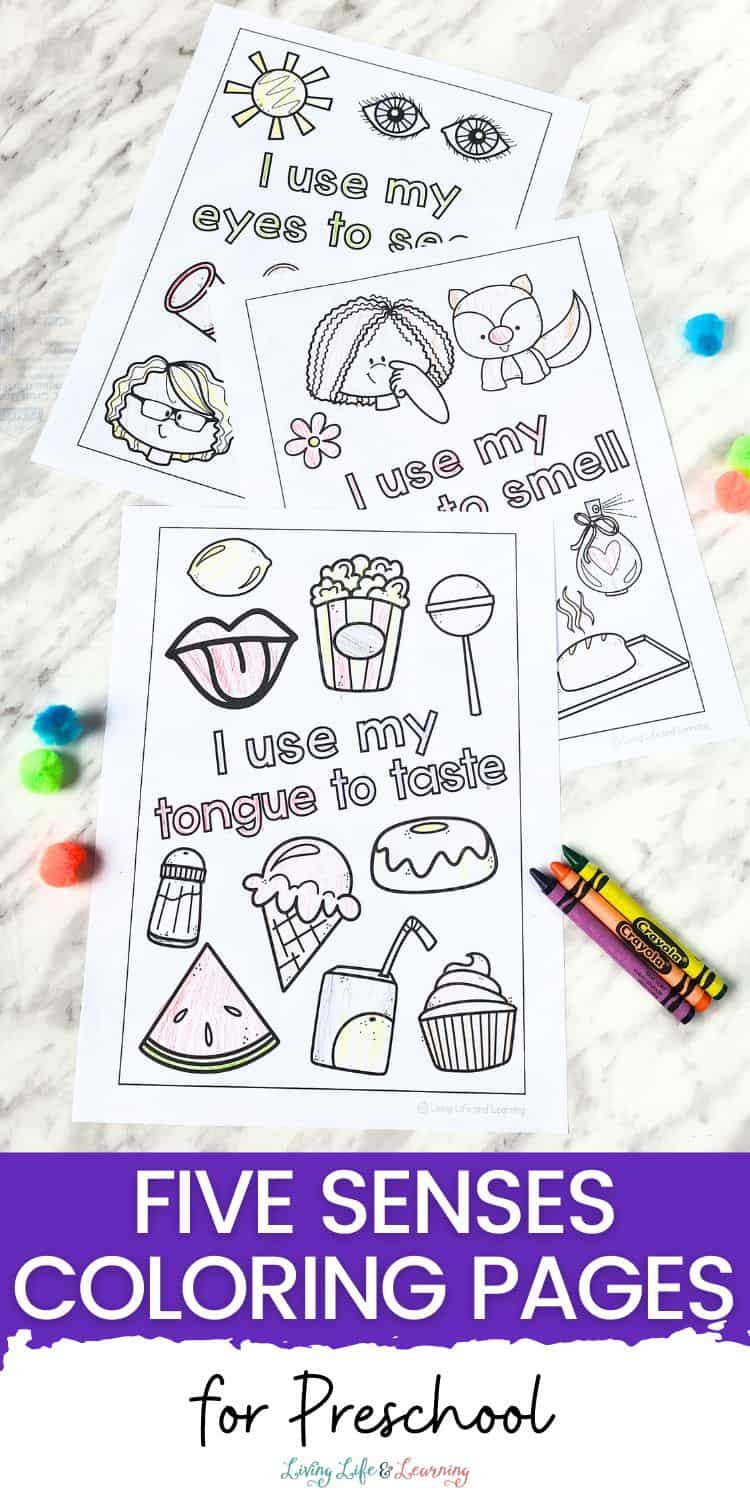 Five Senses Coloring Pages for Preschool: Creative Way To Learn
