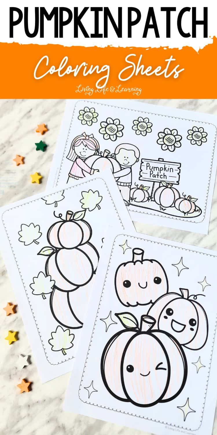 Pumpkin Patch Coloring Sheets to Keep Kids Engaged This Fall