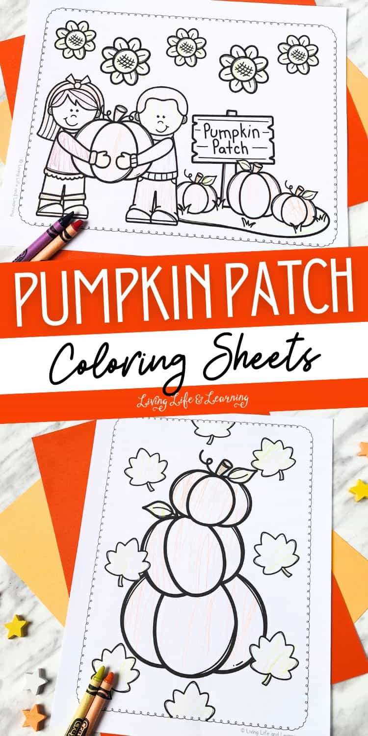 Pumpkin Patch Coloring Sheets to Keep Kids Engaged This Fall
