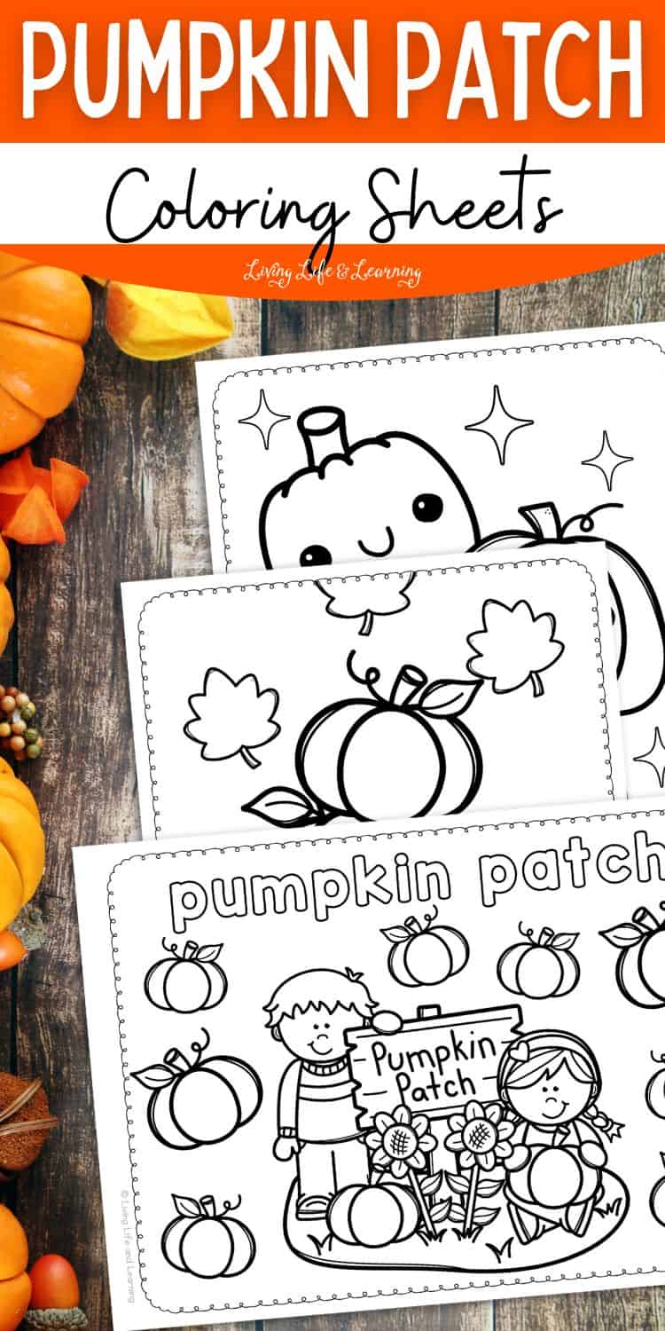 Pumpkin Patch Coloring Sheets to Keep Kids Engaged This Fall