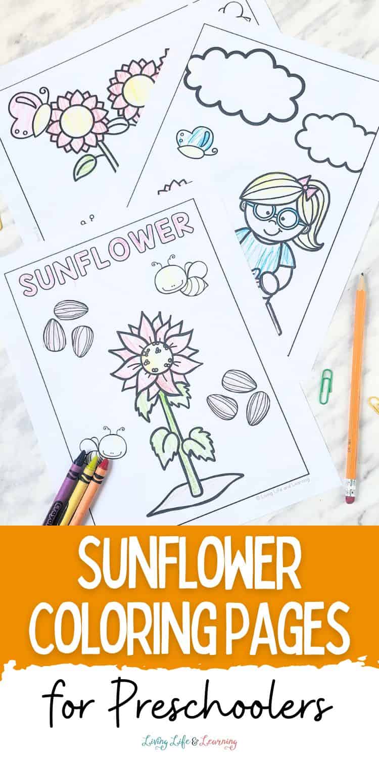Sunflower Coloring Pages for Preschoolers: Fun Nature Printable