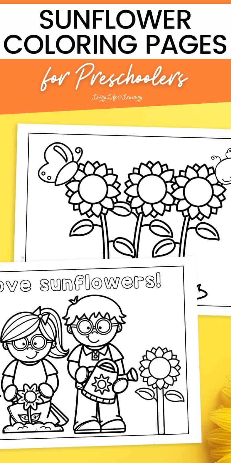 Sunflower Coloring Pages for Preschoolers: Fun Nature Printable